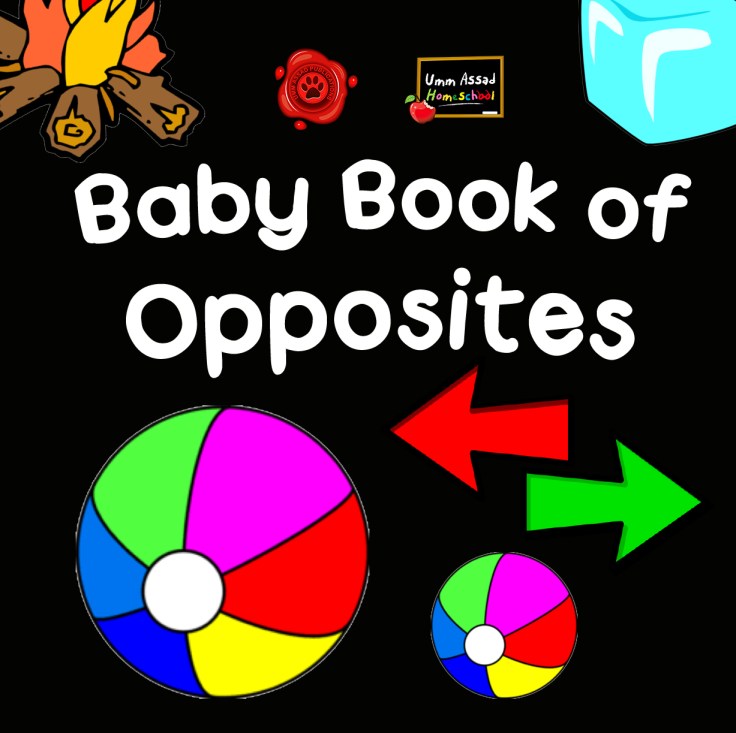 12 Pack Baby Book Collection – Umm Assad Home School